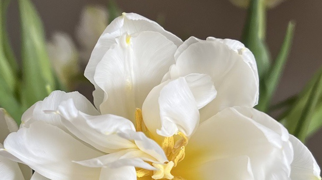 Lessons From Your Inner Guide – Breathing Spaces for Caregivers