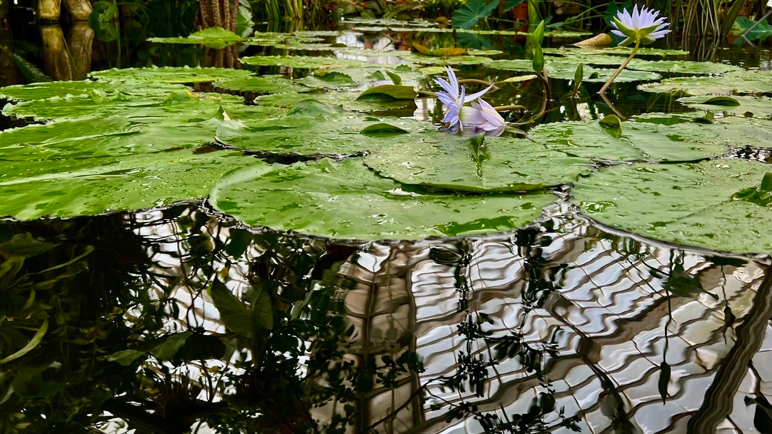 Embracing Authenticity: A Guide to How We Should Show Up in the World ...